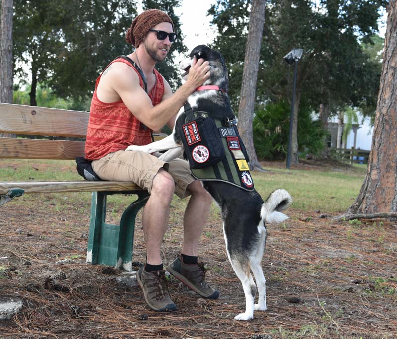 A NEW LEASH ON LIFE – Dogzilla Boutique